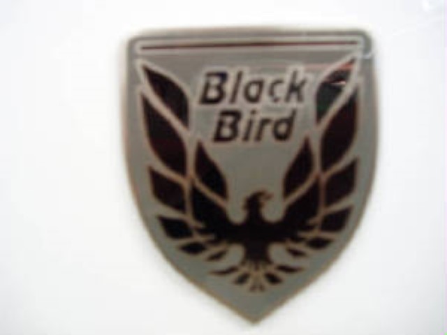 YEAR ONE Formula – The GMMG Registry