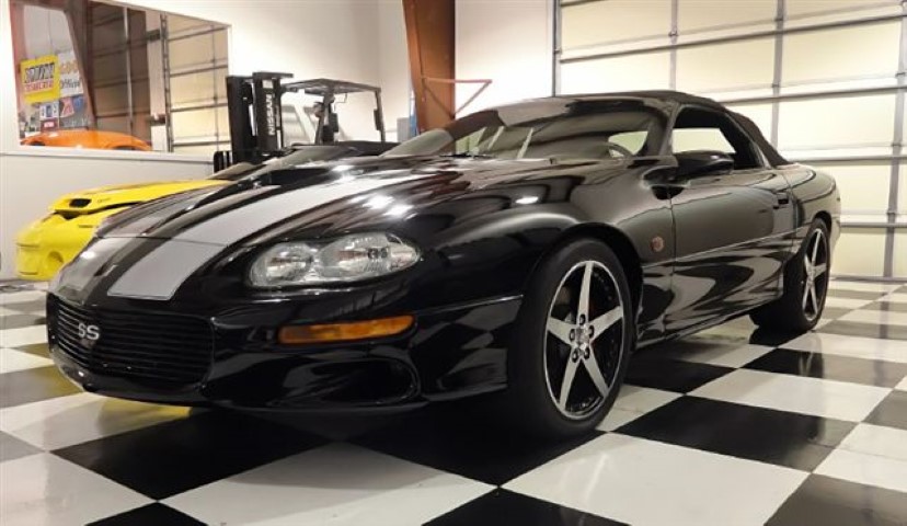 GMMG Wild Card’s – The GMMG Registry