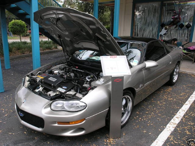 GMMG Wild Card’s – The GMMG Registry